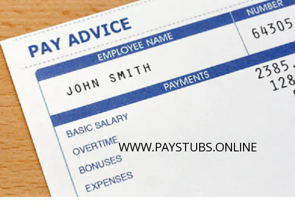 Basics About Pay Stub Generators For Beginners Online Free Pay Stub 